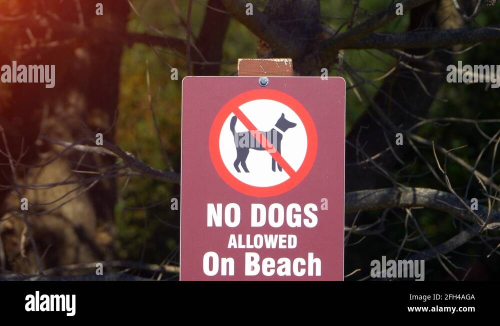 Entrance warning sign signs signage Stock Videos & Footage - HD and 4K ...