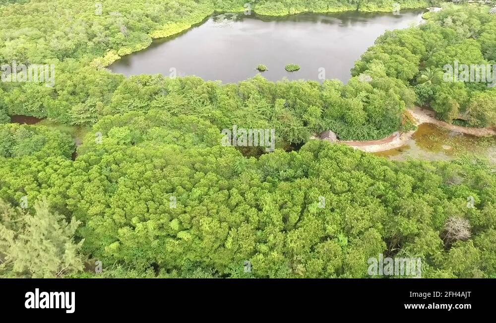 Graeme hall Stock Videos & Footage - HD and 4K Video Clips - Alamy Graeme hall Stock Videos & Footage - HD and 4K Video Clips - Alamy