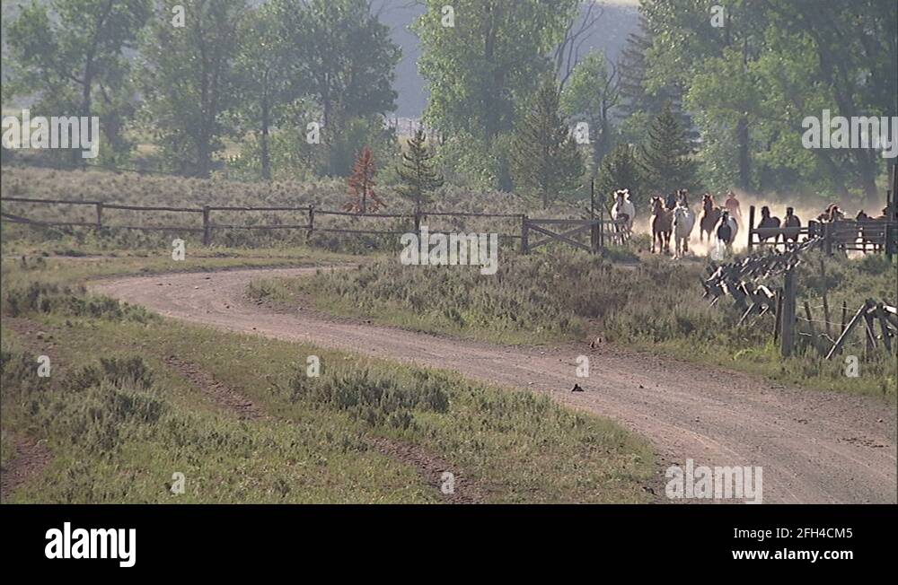 Cowgirl lifestyle Stock Videos & Footage - HD and 4K Video Clips - Alamy