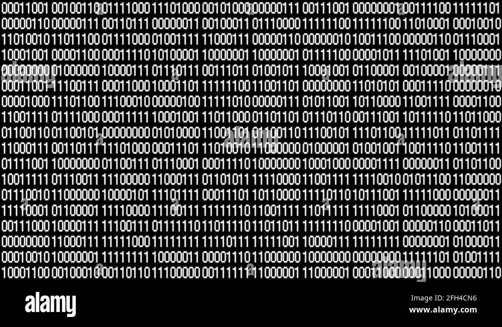 The Matrix style binary code.Seamless loop.future tech background.4k ...