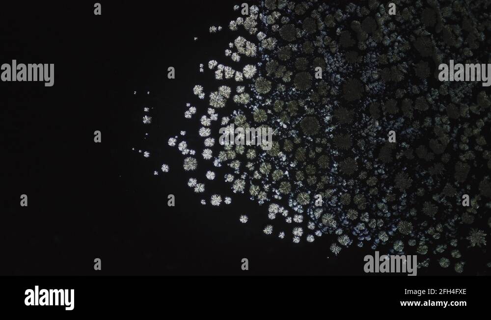 Nanoparticle microscope Stock Videos & Footage - HD and 4K Video Clips ...
