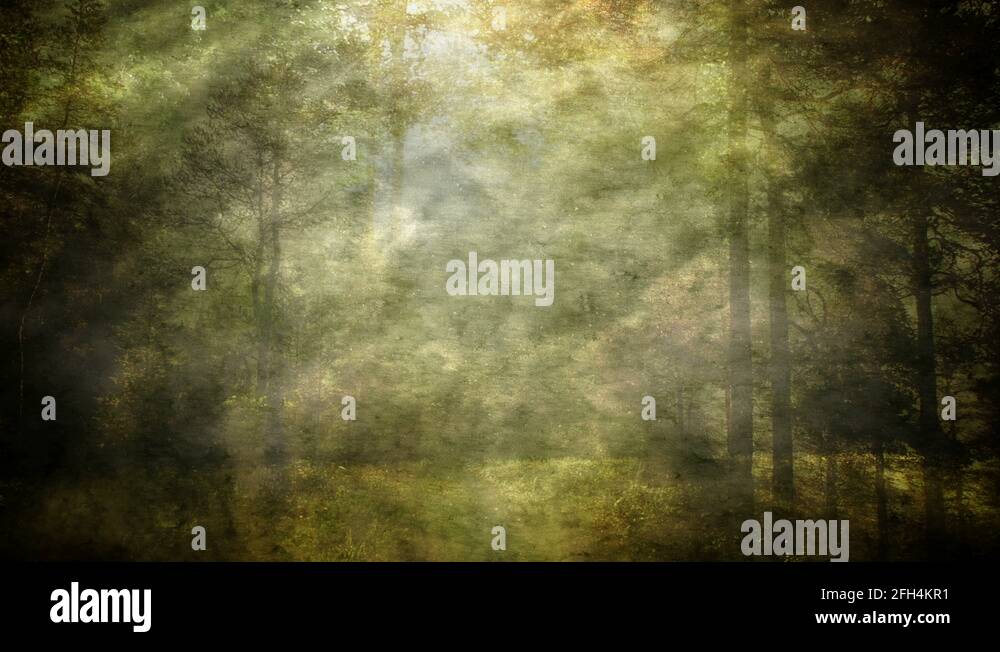 Neutral Colored Abstract Forest Background Loop Stock Video Footage - Alamy