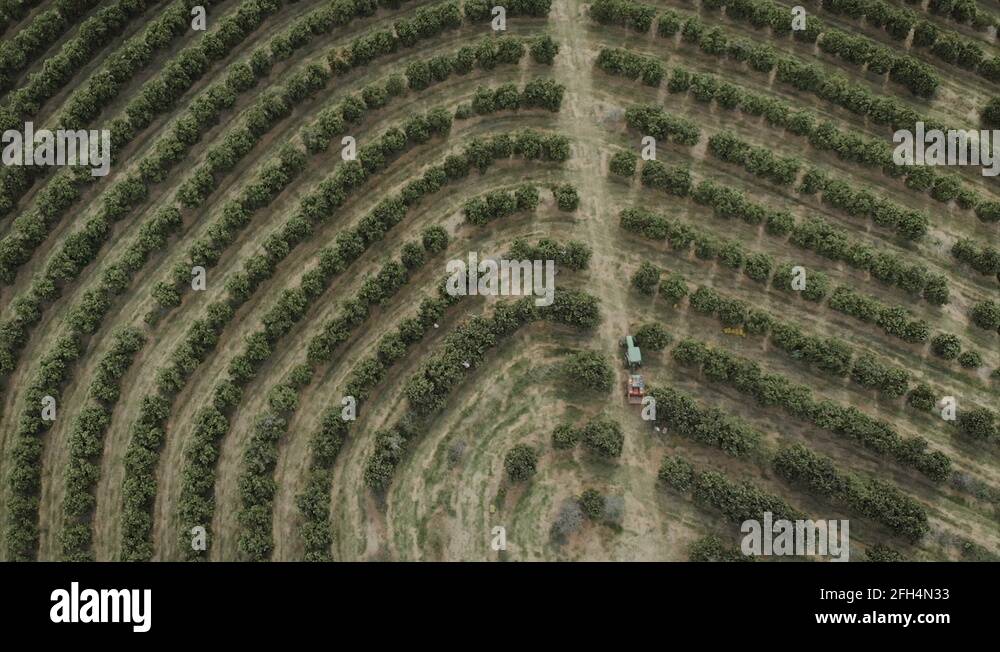 Orange farm Stock Videos & Footage - HD and 4K Video Clips - Alamy