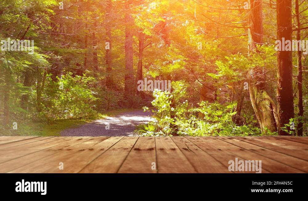Wood Table Outdoor Nature Park Background, Green Empty Space Rustic ...