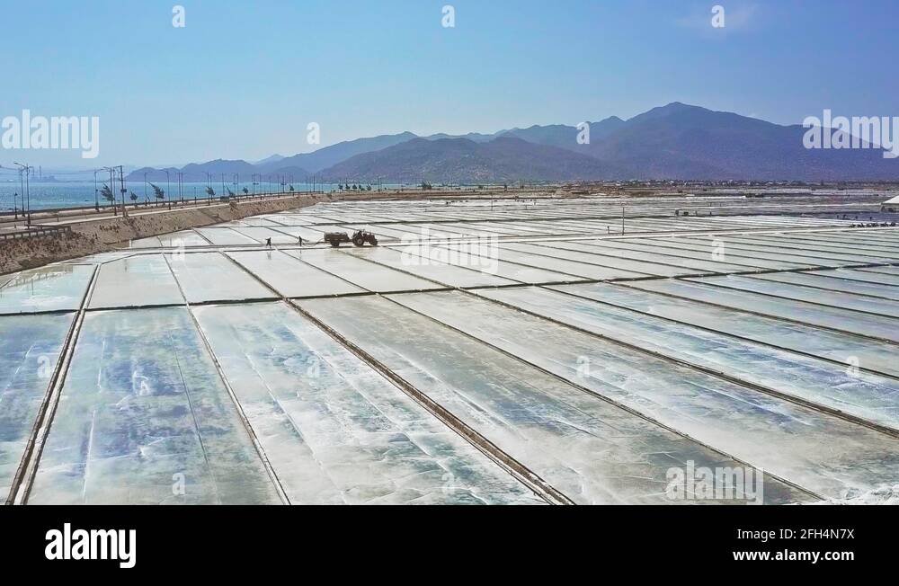 Huge plantations Stock Videos & Footage - HD and 4K Video Clips - Alamy