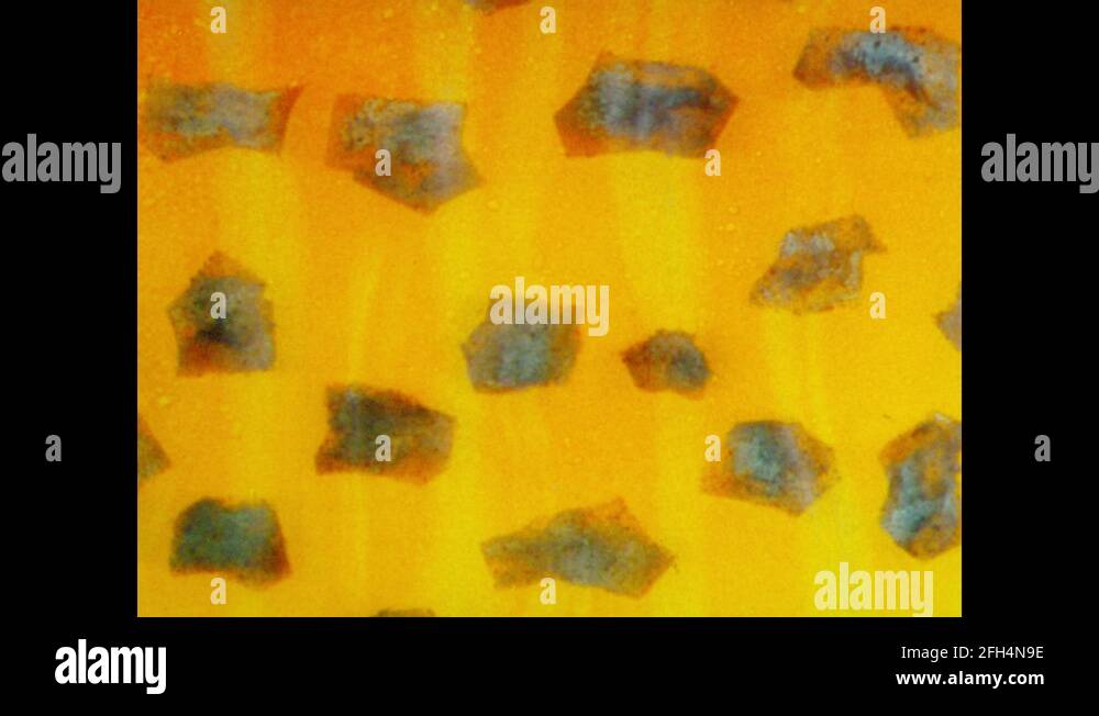 1960s: Animated cartoon close up view of rock like objects in a fire ...