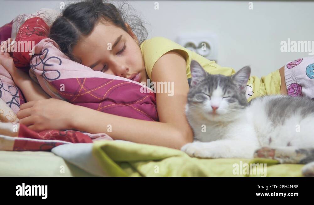 girl girl and cat sleeping on the bed and cat sleeping on the bed. teen ...