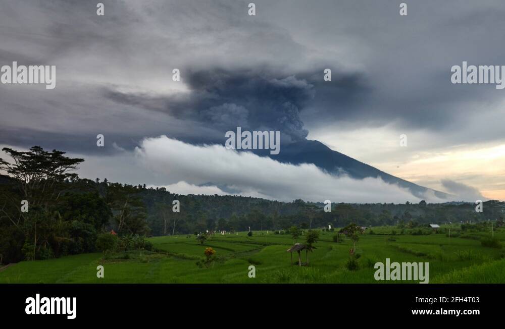 Volcano flora Stock Videos & Footage - HD and 4K Video Clips - Alamy