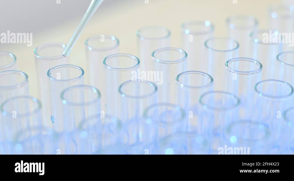 Experience extract Stock Videos & Footage - HD and 4K Video Clips - Alamy