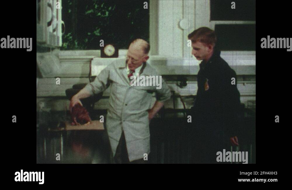 Scientific hen Stock Videos & Footage - HD and 4K Video Clips - Alamy