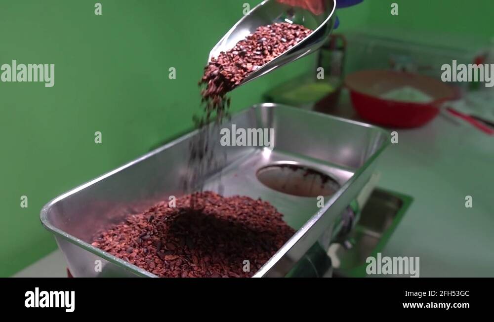 Grinding process. Cocoa nibs are ground into cocoa mass, unsweetened ...