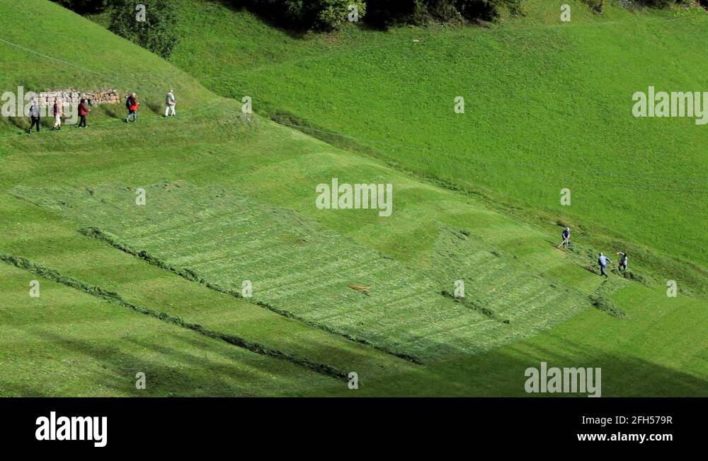 Fields gathering hay Stock Videos & Footage - HD and 4K Video Clips - Alamy