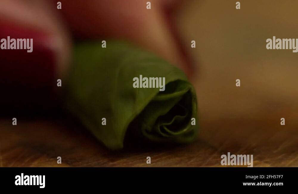 Rolled up leaves Stock Videos & Footage - HD and 4K Video Clips - Alamy