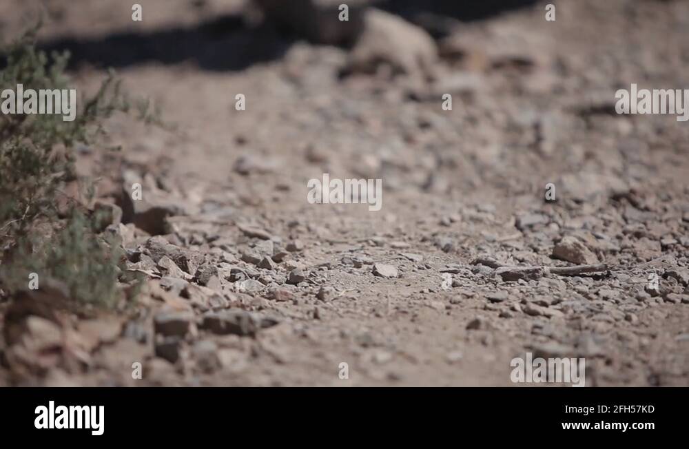 Rubble and footpath Stock Videos & Footage - HD and 4K Video Clips - Alamy