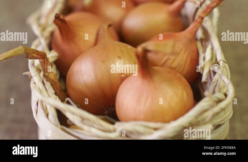 Onion cloth Stock Videos & Footage - HD and 4K Video Clips - Alamy