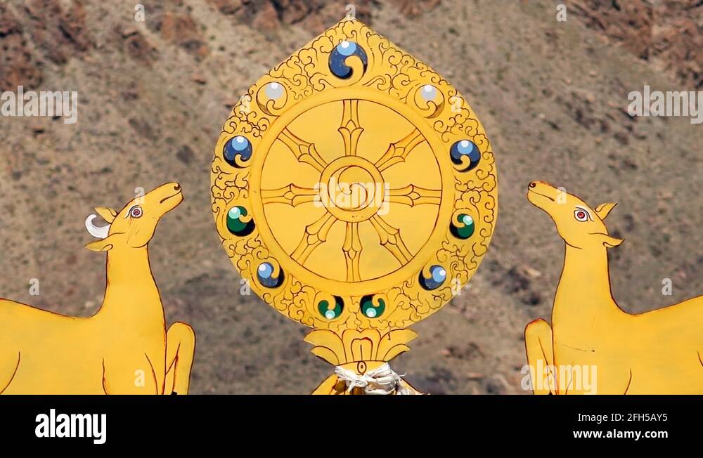 Samsara india Stock Videos & Footage - HD and 4K Video Clips - Alamy