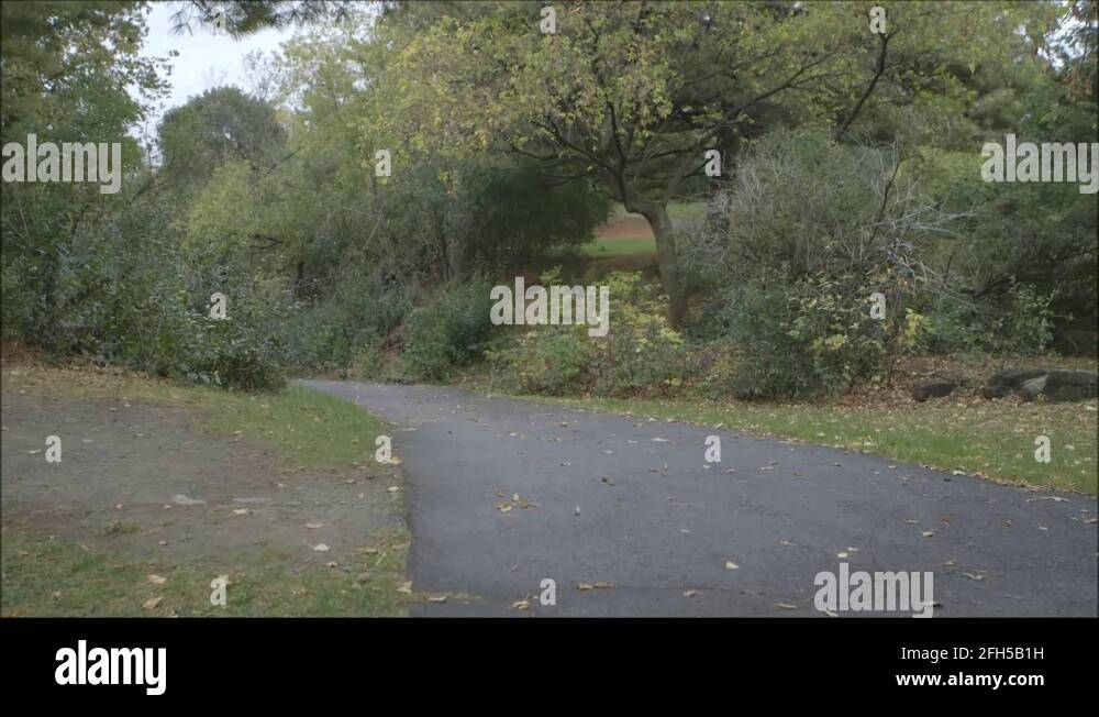 Hogs back park Stock Videos & Footage - HD and 4K Video Clips - Alamy