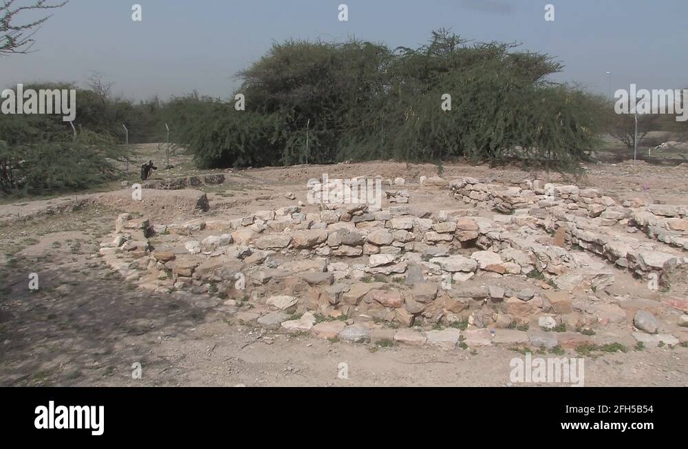 Nar Stock Videos & Footage - HD and 4K Video Clips - Alamy