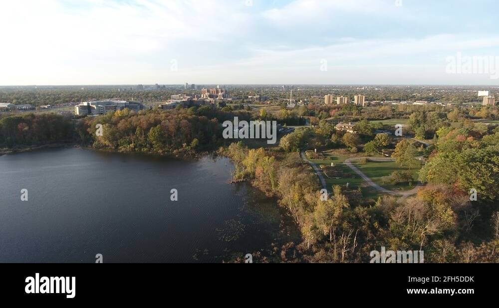 Lake Side View In Conservation Area Park With City Buildings In ...