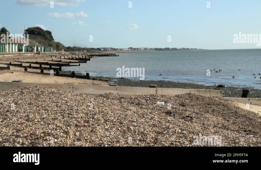 Región Stock Videos & Footage - HD and 4K Video Clips - Alamy