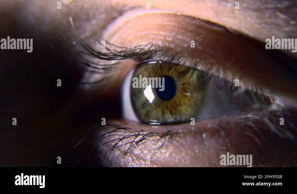 Pupil and the cornea Stock Videos & Footage - HD and 4K Video Clips - Alamy