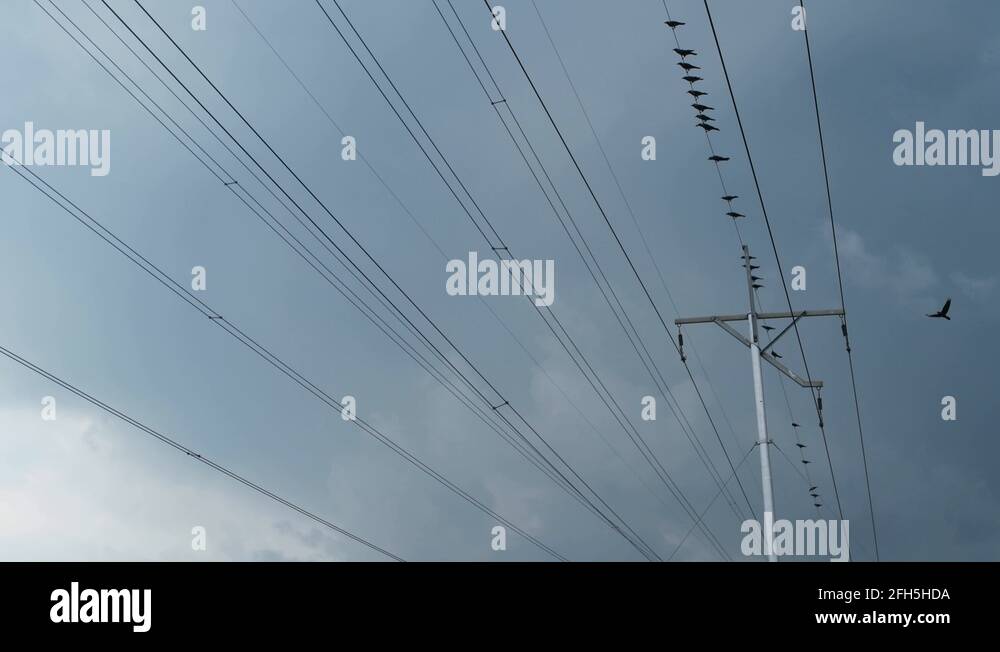 Stay cable Stock Videos & Footage - HD and 4K Video Clips - Alamy