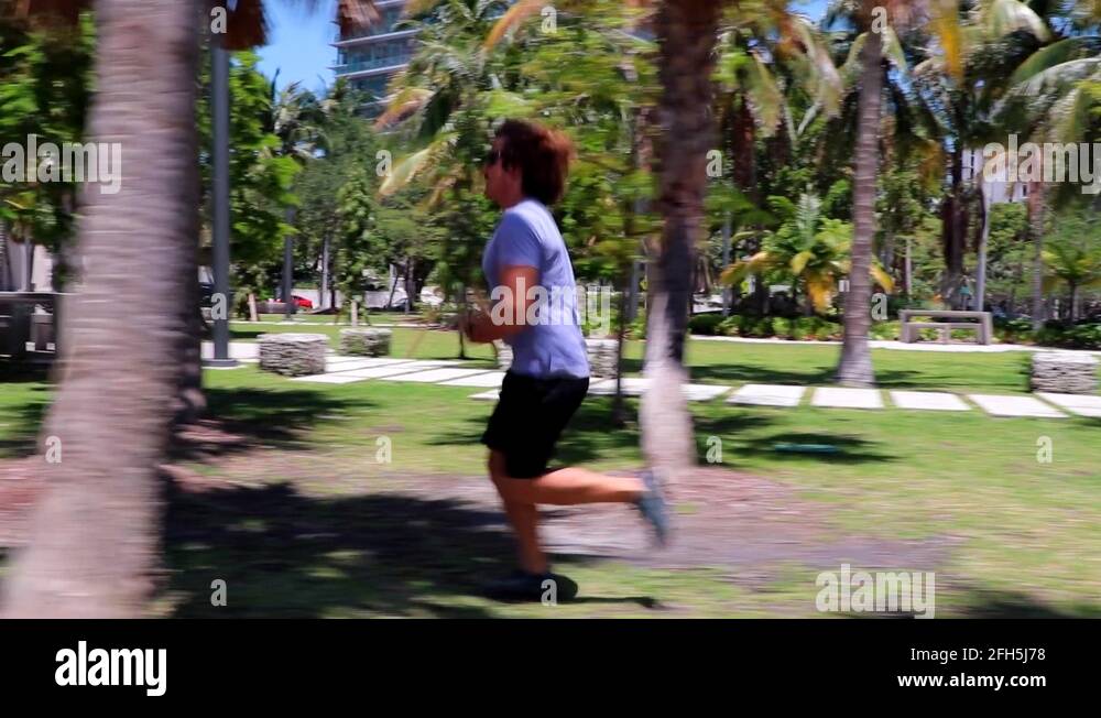 Running palm trees Stock Videos & Footage - HD and 4K Video Clips - Alamy