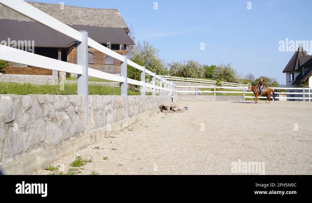 Riding horse inside the arena in slow motion 4K Stock Video Footage - Alamy