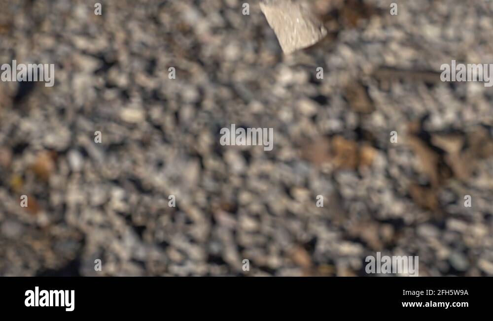Gravel backdrop Stock Videos & Footage - HD and 4K Video Clips - Alamy
