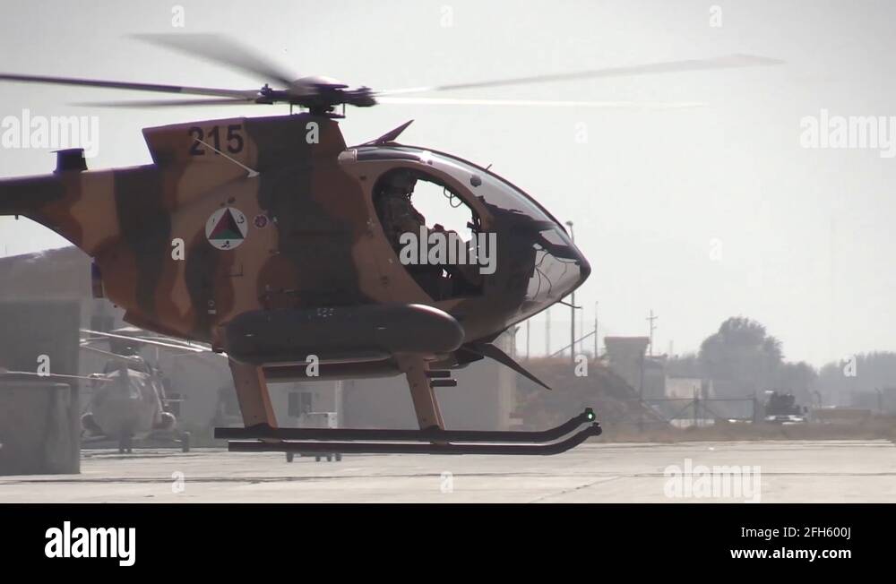 Cayuse warrior Stock Videos & Footage - HD and 4K Video Clips - Alamy