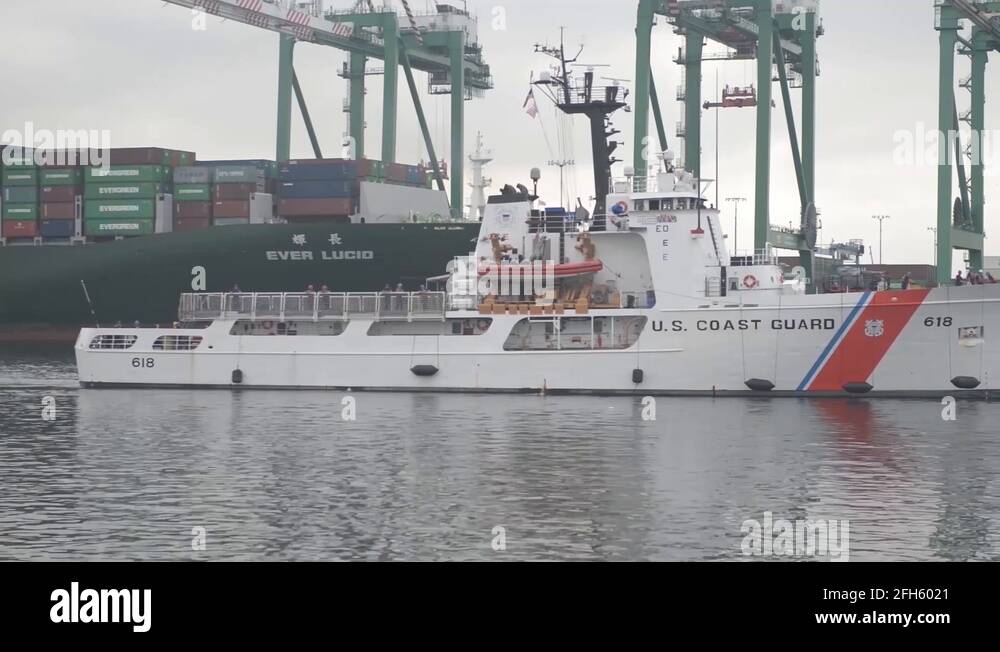 Mediumendurancecutter Stock Videos & Footage - HD and 4K Video Clips ...