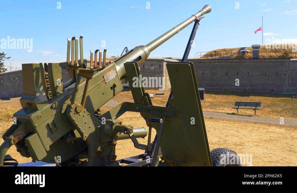 Canada gun Stock Videos & Footage - HD and 4K Video Clips - Alamy