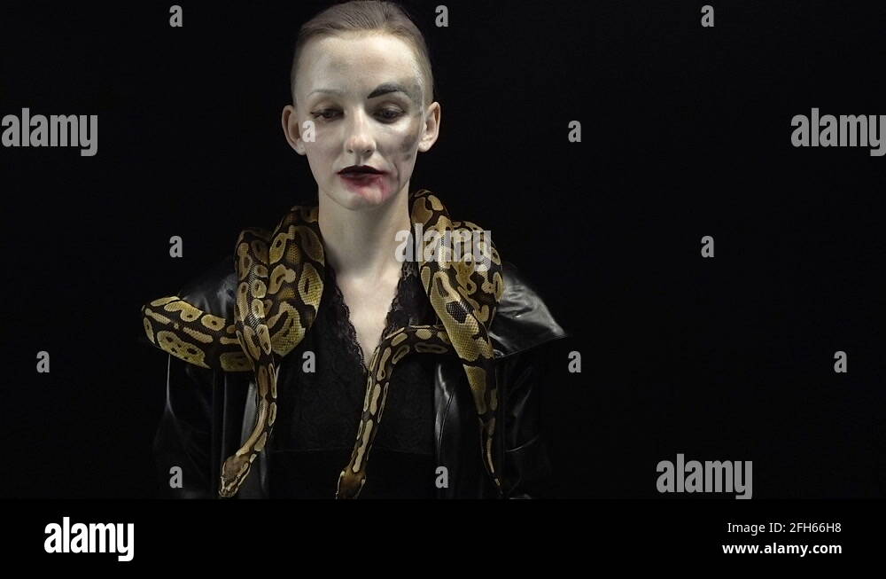 Snakes image Stock Videos & Footage - HD and 4K Video Clips - Alamy