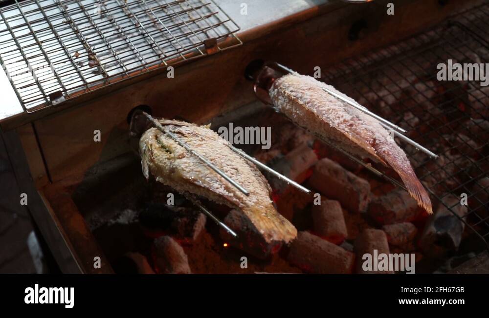 Flame fish and flame Stock Videos & Footage - HD and 4K Video Clips - Alamy