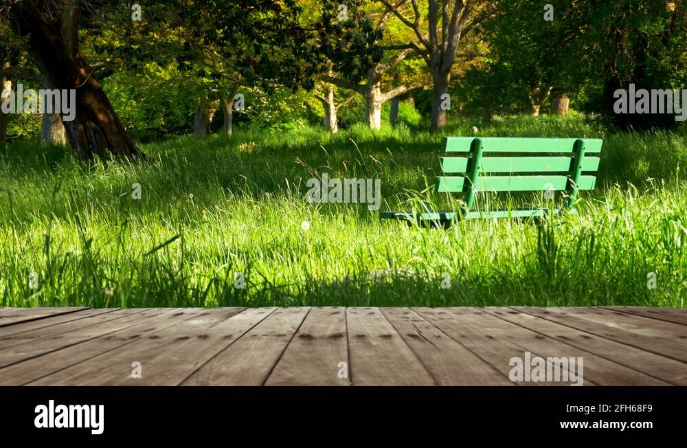 Path grass bench seat Stock Videos & Footage - HD and 4K Video Clips ...