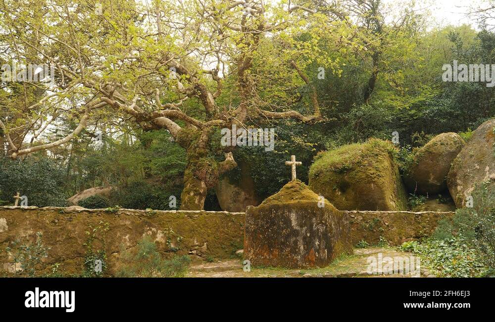 Convents Stock Videos & Footage - HD and 4K Video Clips - Alamy