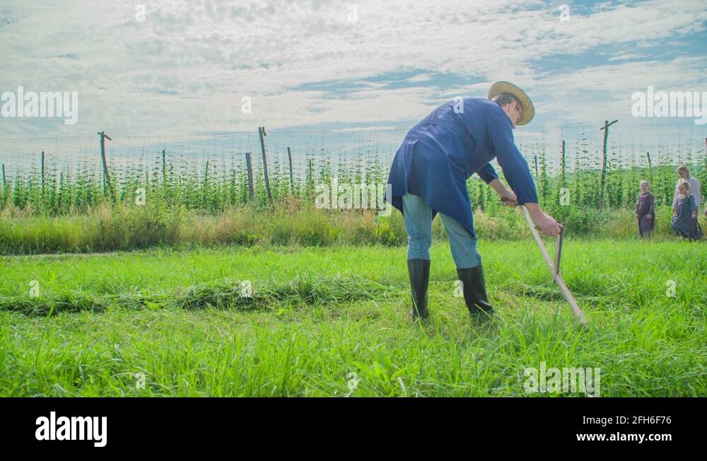 Farmer cutting grass with a scythe Stock Videos & Footage - HD and 4K ...