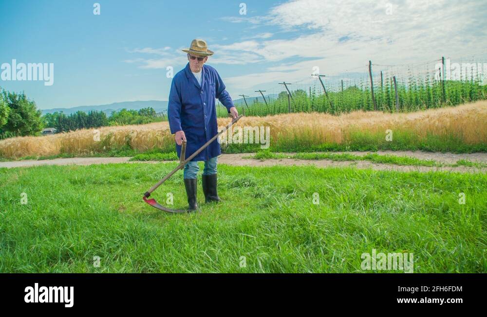 Sharpening a scythe Stock Videos & Footage - HD and 4K Video Clips - Alamy