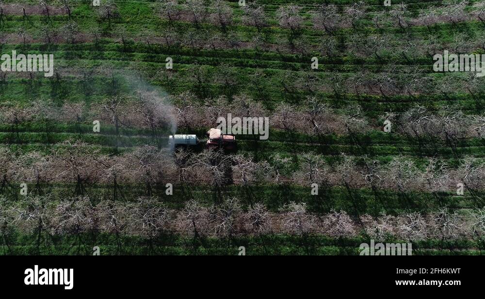 Spraying for blight Stock Videos & Footage - HD and 4K Video Clips - Alamy