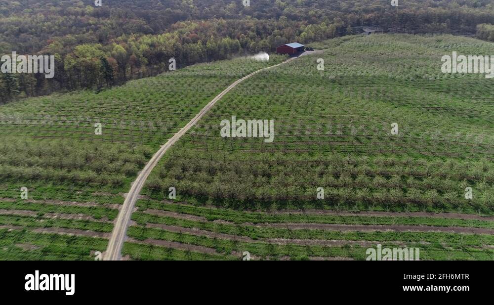 Fire blight Stock Videos & Footage - HD and 4K Video Clips - Alamy