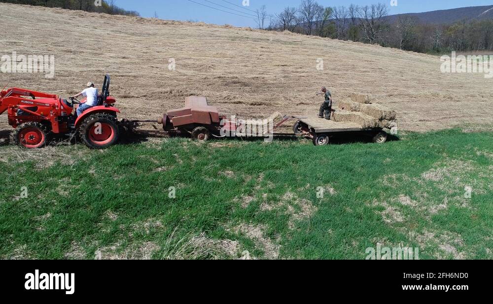 Switchgrass field Stock Videos & Footage - HD and 4K Video Clips - Alamy