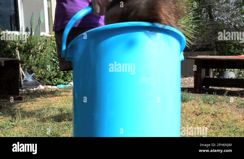 Skin bucket Stock Videos & Footage - HD and 4K Video Clips - Alamy