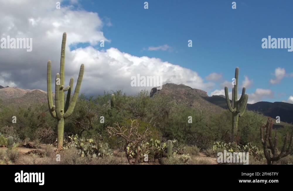 Desert shadows Stock Videos & Footage - HD and 4K Video Clips - Alamy
