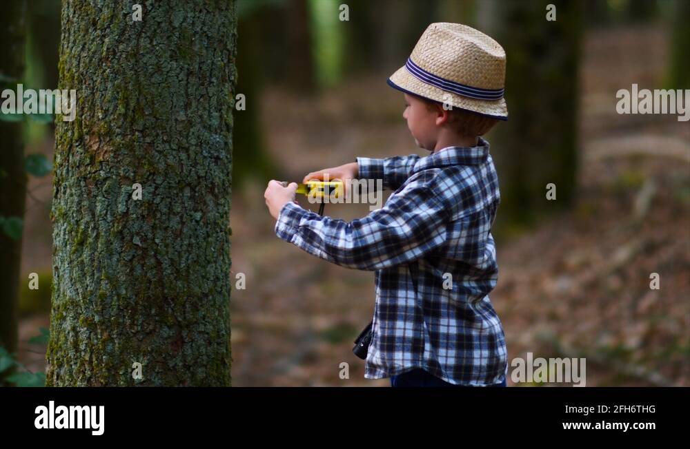 Child ruler Stock Videos & Footage - HD and 4K Video Clips - Alamy