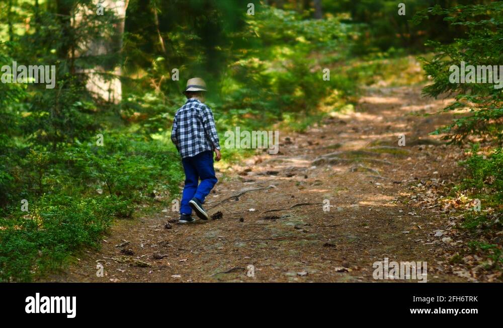 Child walking alone forest Stock Videos & Footage - HD and 4K Video ...