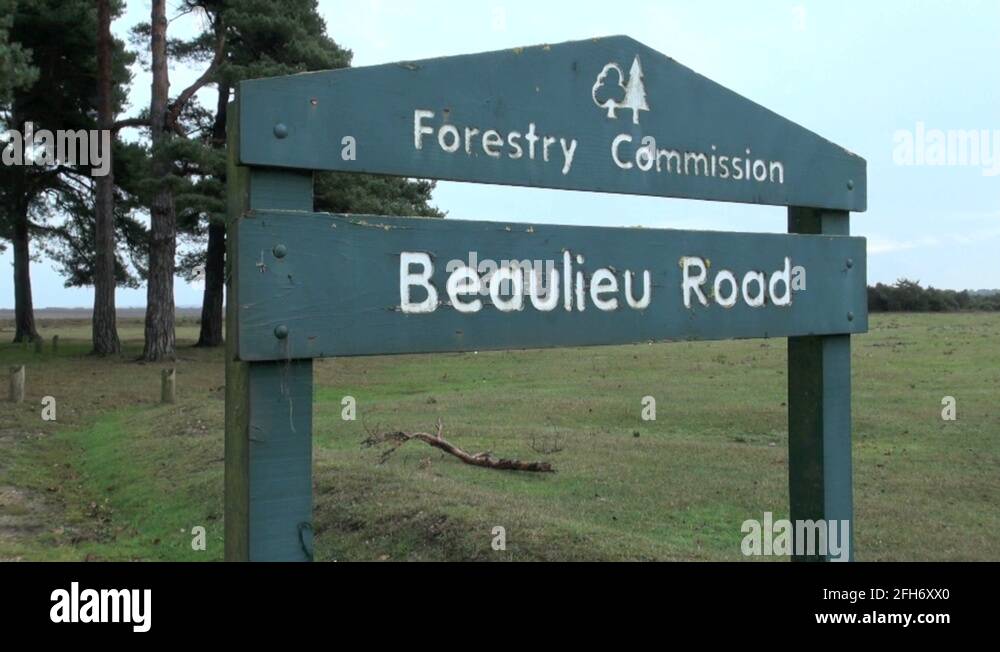 The new forest sign Stock Videos & Footage - HD and 4K Video Clips - Alamy