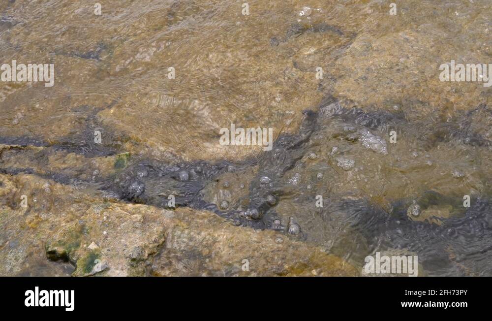 Shallow waters ohrid lake Stock Videos & Footage - HD and 4K Video ...