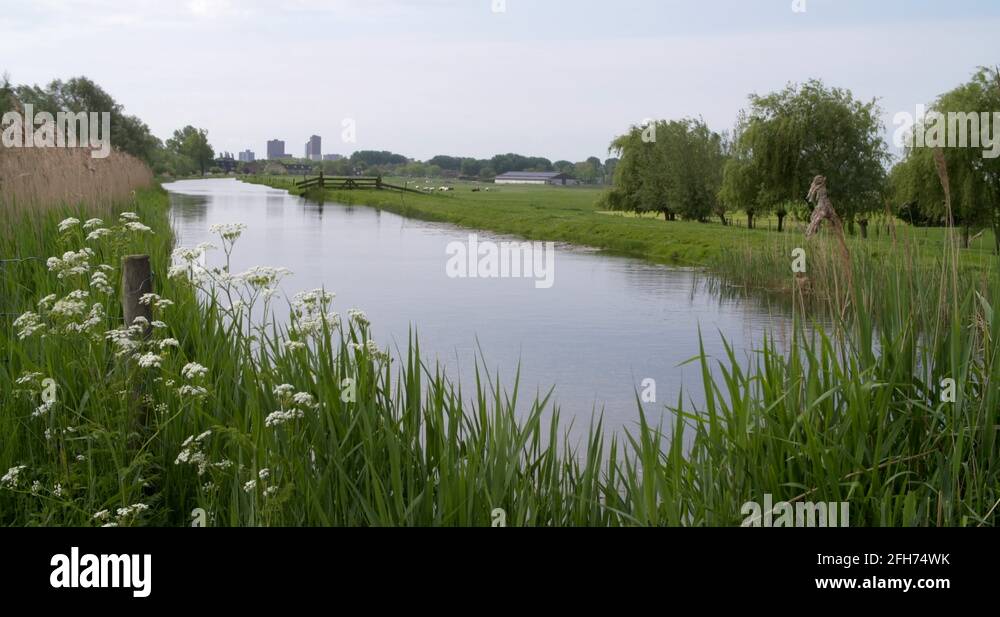 Canal scape Stock Videos & Footage - HD and 4K Video Clips - Alamy