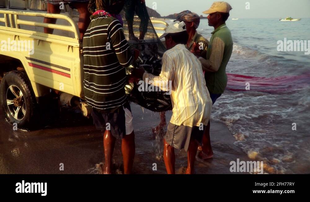 Arab fishing net Stock Videos & Footage - HD and 4K Video Clips - Alamy