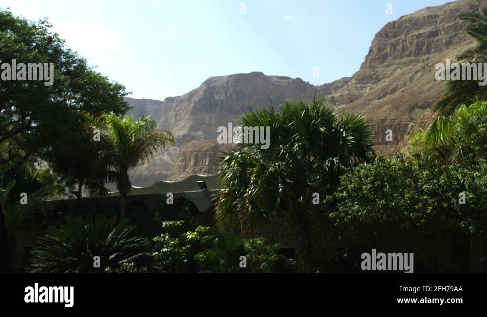 Panorama oasis kibbutz ein gedi Stock Videos & Footage - HD and 4K ...
